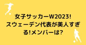 女子サッカーW2023!スウェーデン代表が美人すぎる!メンバーは? | hanaブログ